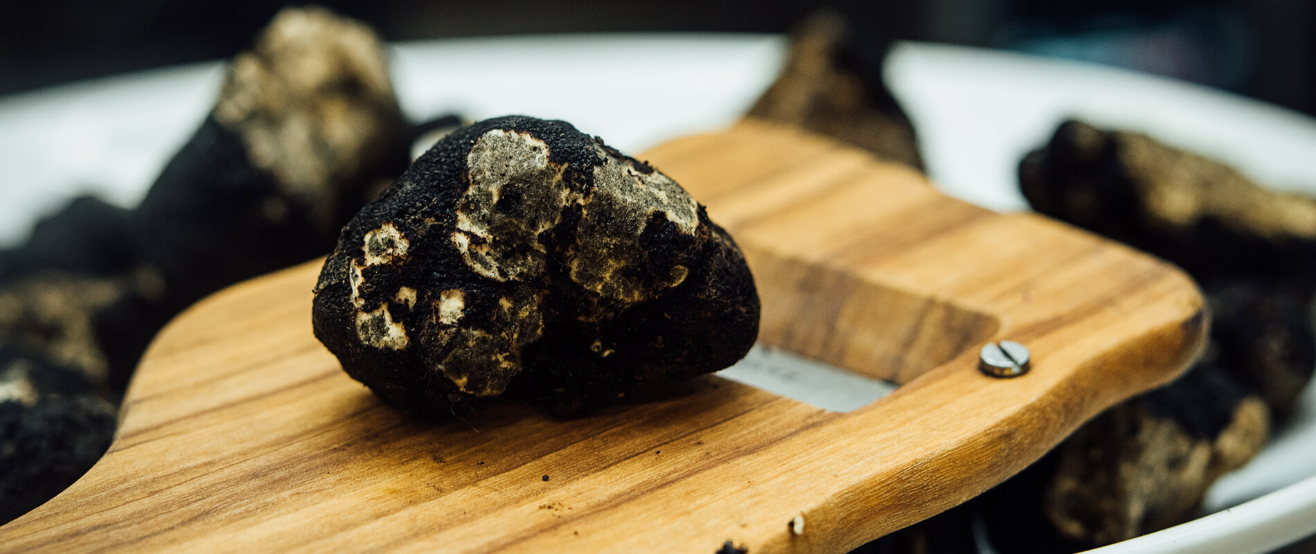 The Oregon Truffle Festival | Tickets for Eugene and Yamhill on Sale Sep 1